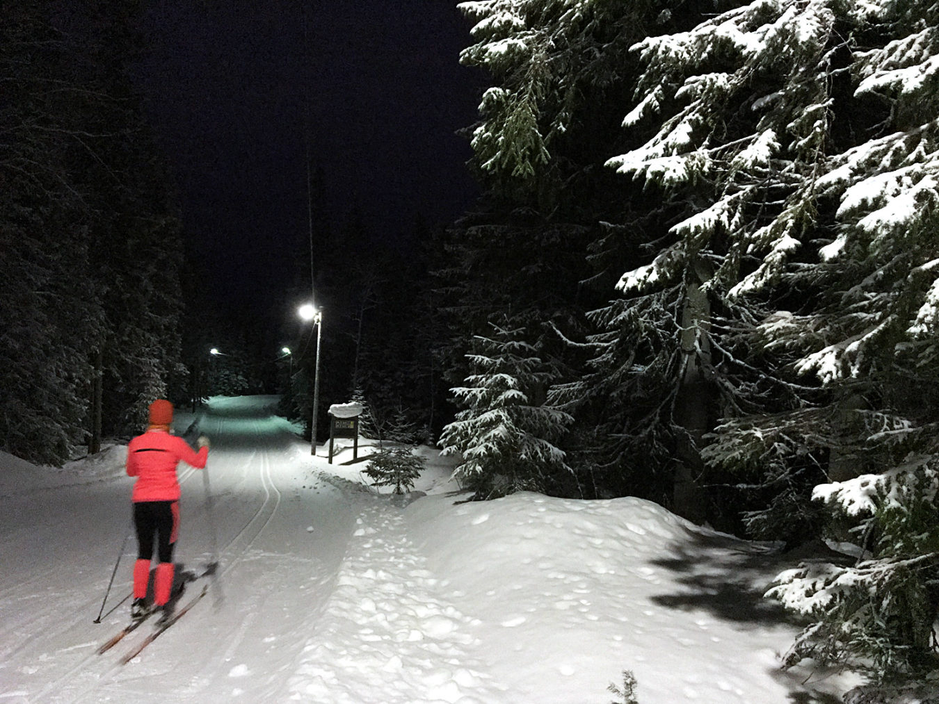 Morgontupp och nattuggla på långpass i mörkret