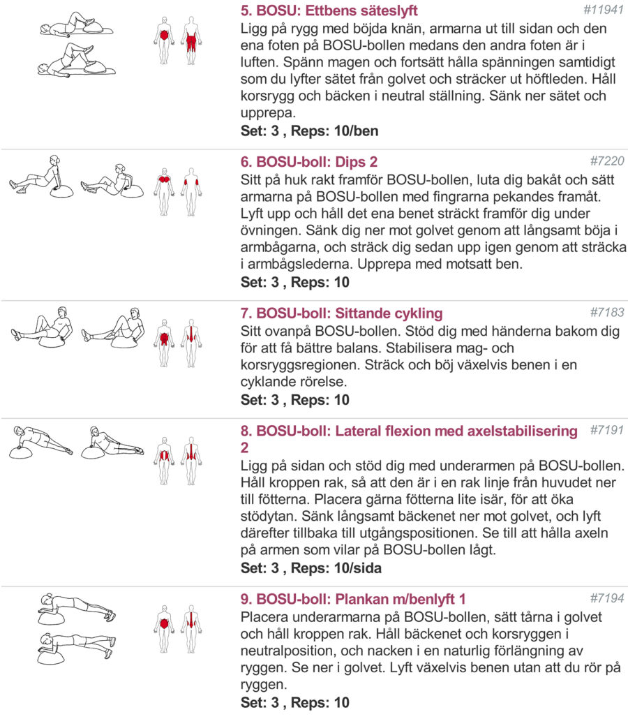 Träningsprogram med Bosuboll – 9 övningar för hela din kropp - Anna ...