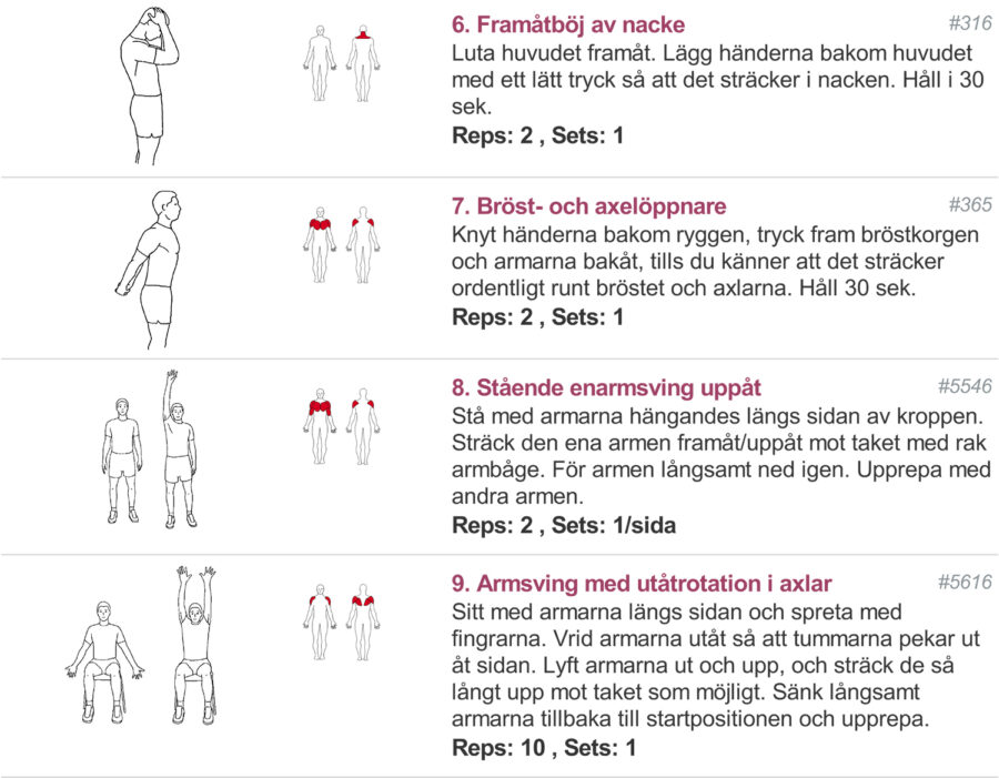 Gympa för stela axlar och nacke – 8 minuters program - Anna Jonasson ...