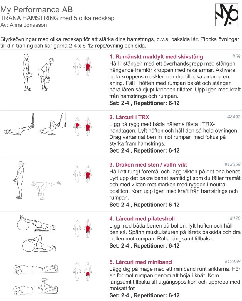Styrketräna baksida lår - 2 program med- eller utan redskap - Anna ...